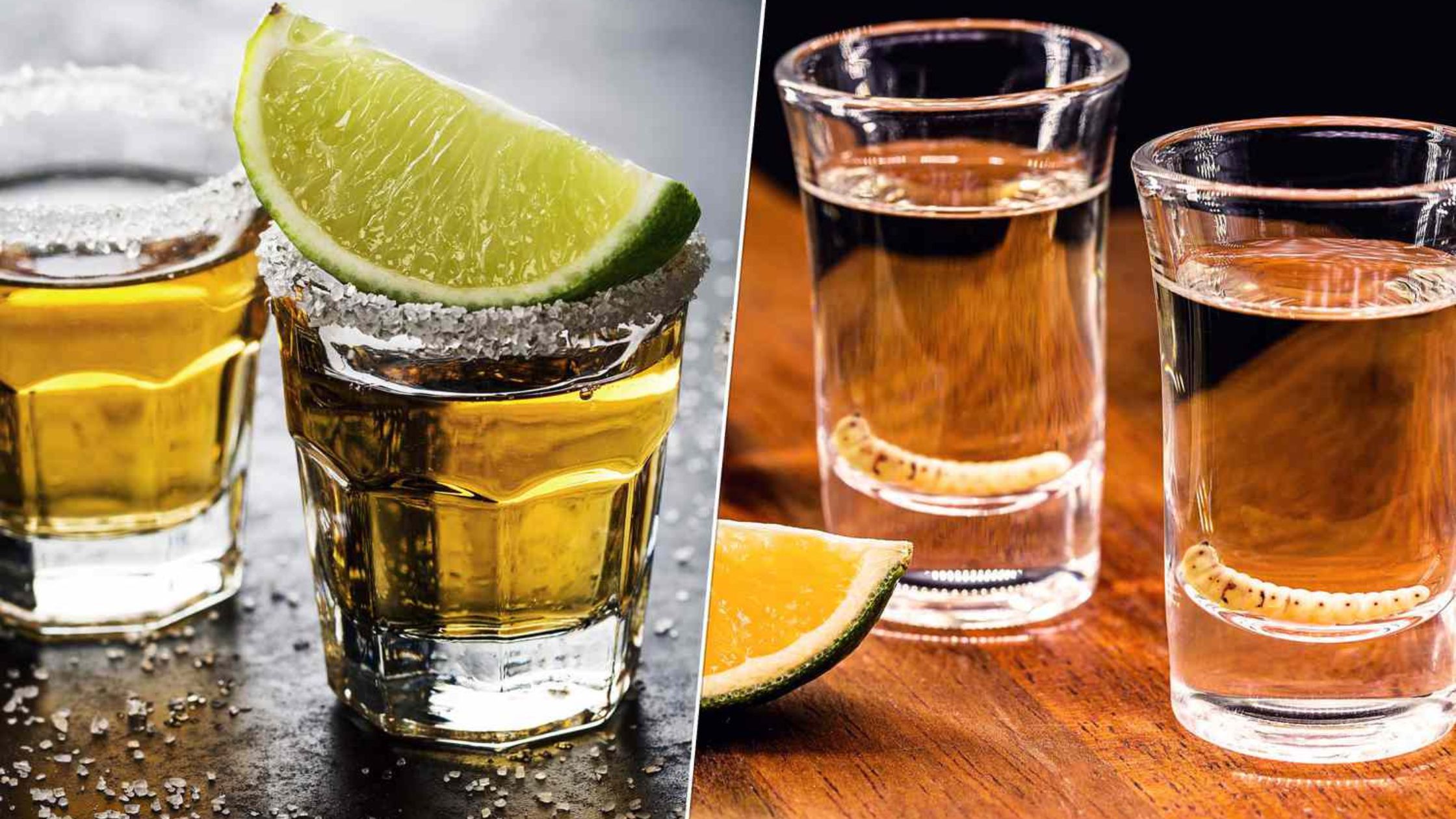 Tequila & Mezcal: Origins, Types & Best Bottles - WineWhiskyWorld